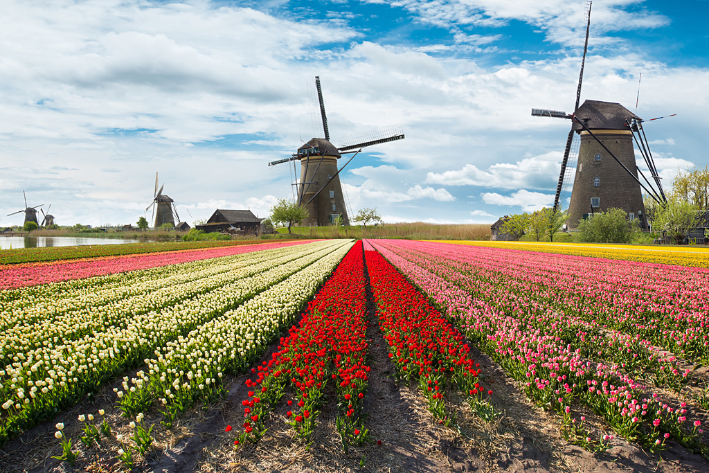 About Holland - Nursework, working and living in the Netherlands